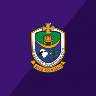 Dermot Earley; an appreciation - GAA Roscommon