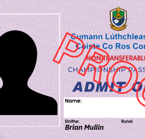 Roscommon GAA | Roscommon County Board Gaelic Athletic Association